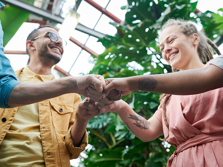 Systemisch werken (familie- en organisatieopstellingen)